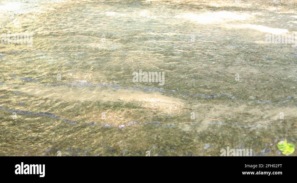 Flood overflow Stock Videos & Footage - HD and 4K Video Clips - Alamy