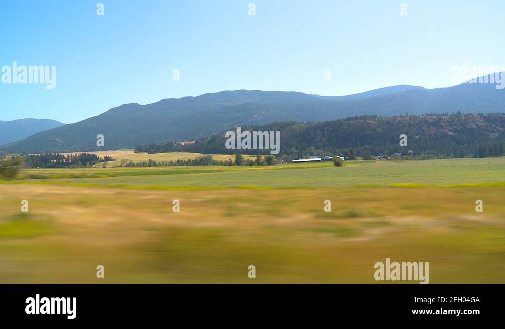 Summer at the farm Stock Videos & Footage - HD and 4K Video Clips - Alamy