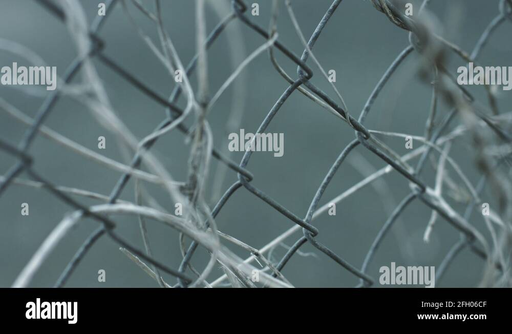 Wire mesh structure Stock Videos & Footage - HD and 4K Video Clips - Alamy