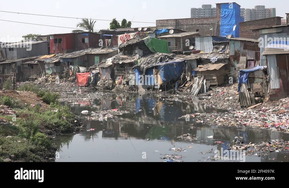 Mumbai slum dengue Stock Videos & Footage - HD and 4K Video Clips - Alamy
