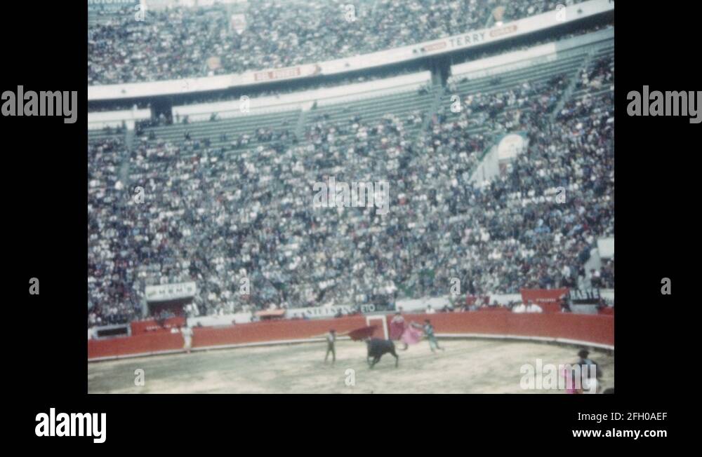 Red bull cape Stock Videos & Footage - HD and 4K Video Clips - Alamy