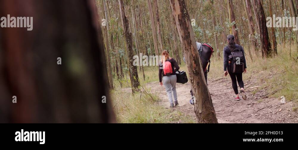 Mountain trekking background Stock Videos & Footage - HD and 4K Video ...