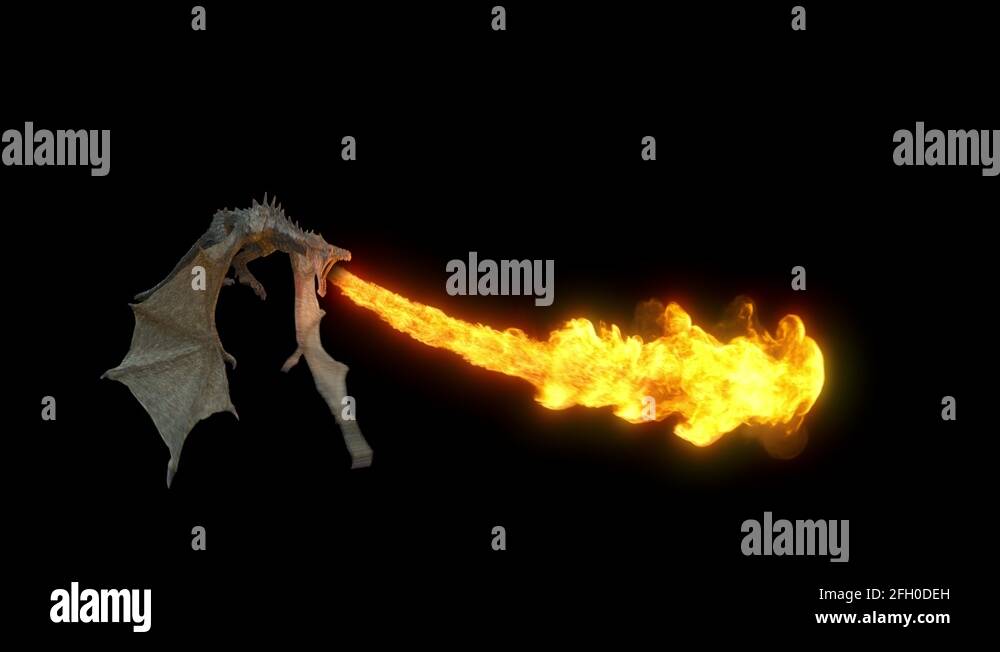 The Dragon flying and breathing flame. Loop with Alpha channel Stock ...