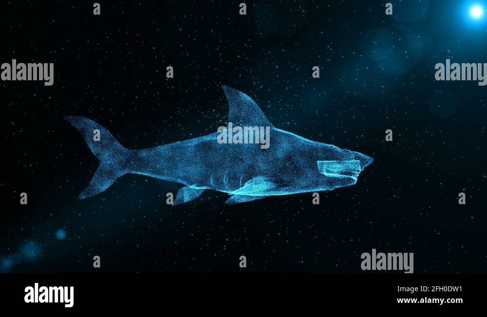 Animal sea creature teeth Stock Videos & Footage - HD and 4K Video ...