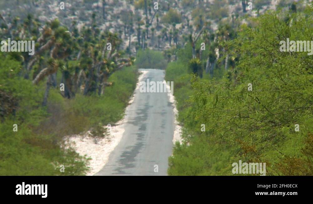 Rural desert Stock Videos & Footage - HD and 4K Video Clips - Alamy