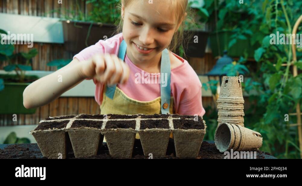 Hands sowing seed Stock Videos & Footage - HD and 4K Video Clips - Alamy