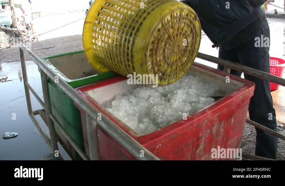 Iced fish processing Stock Videos & Footage - HD and 4K Video Clips - Alamy
