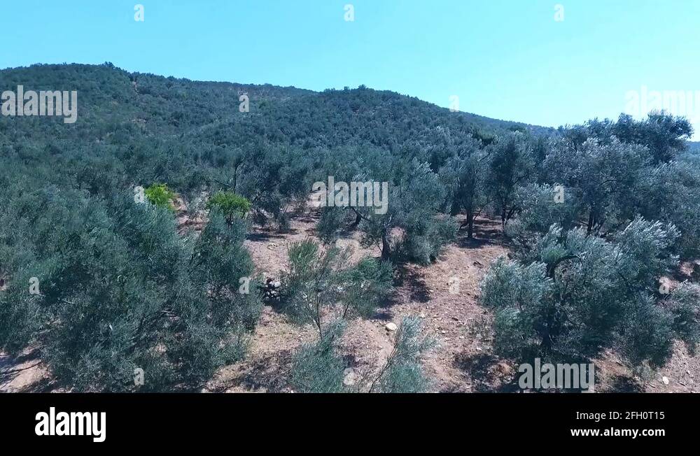 Daglari Stock Videos & Footage - HD and 4K Video Clips - Alamy