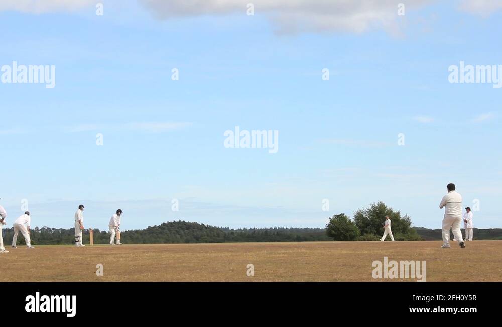 Fielding cricket Stock Videos & Footage - HD and 4K Video Clips - Alamy