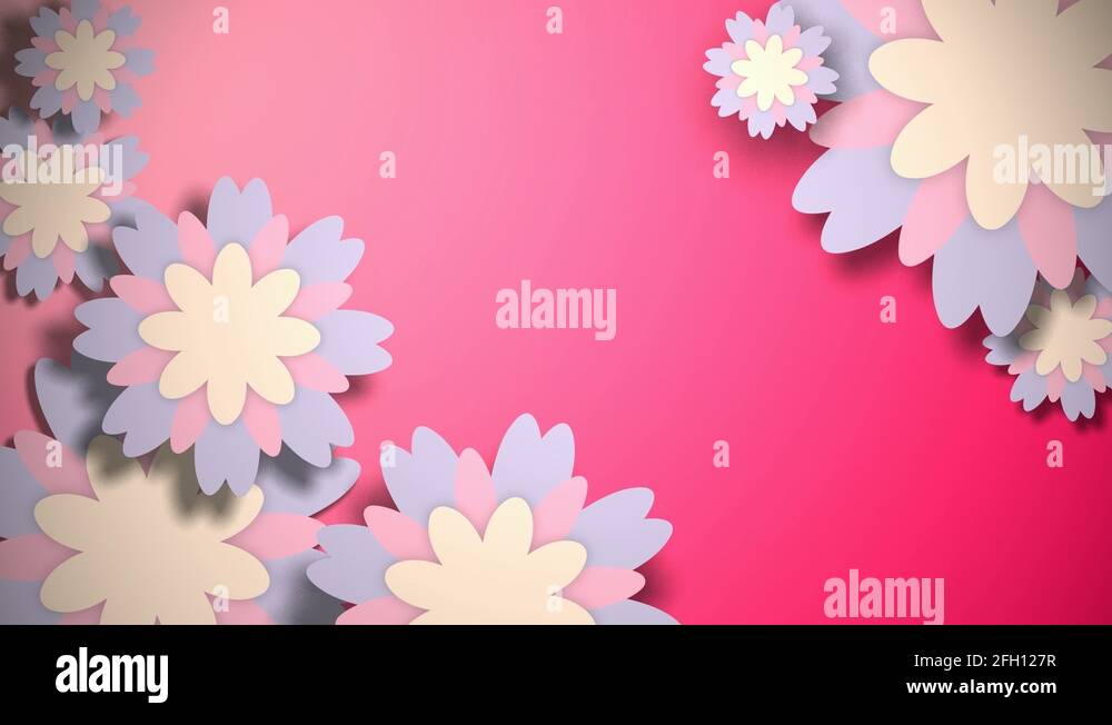 Animated wallpaper with pastel color flowers on pink background Stock ...