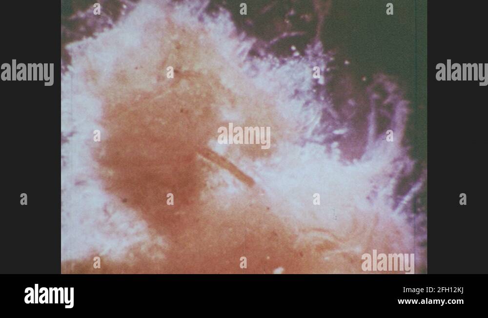 Sludge worms Stock Videos & Footage - HD and 4K Video Clips - Alamy