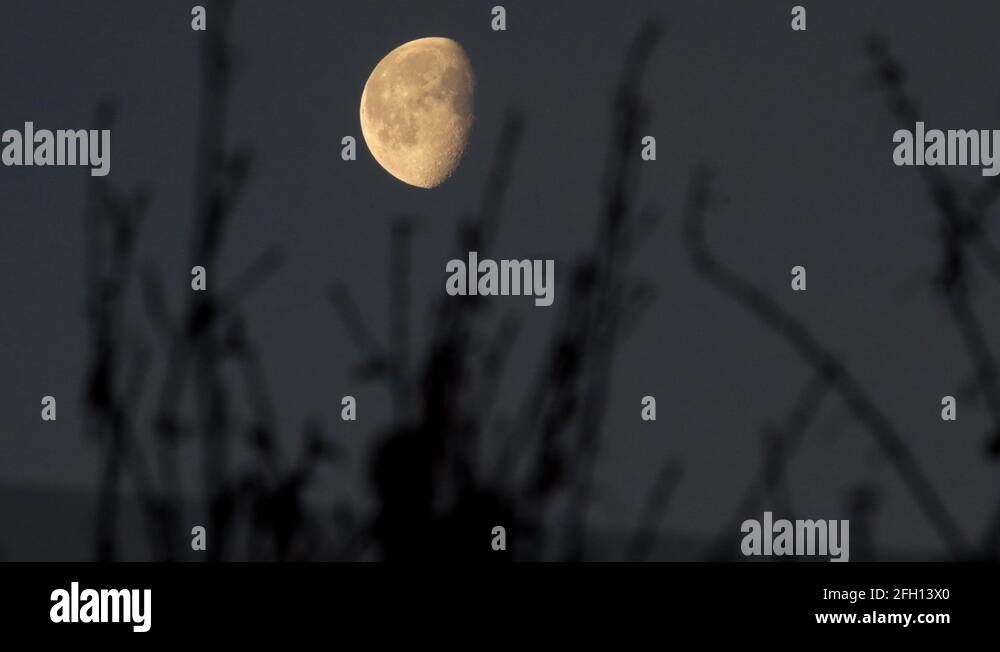 Moon shining Stock Videos & Footage - HD and 4K Video Clips - Alamy