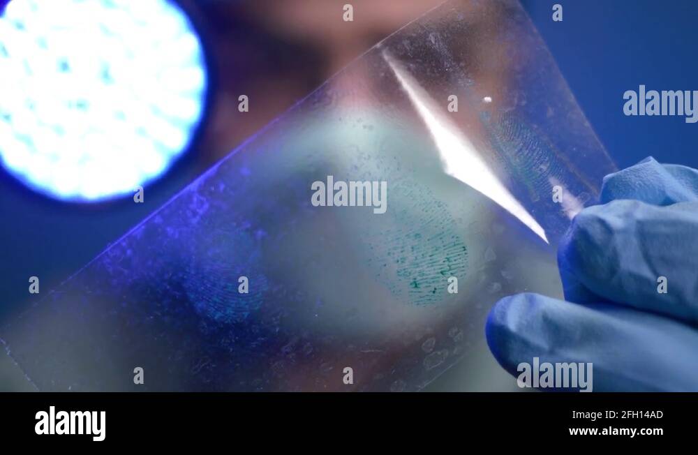 Crime scene forensics light Stock Videos & Footage - HD and 4K Video ...