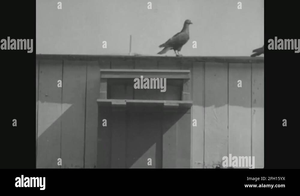 Trains on roof Stock Videos & Footage - HD and 4K Video Clips - Alamy