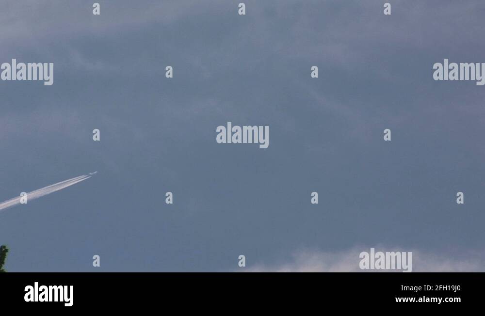 Yoyogi Park is one of the largest parks in Tokyo, Japan. Zoom out Stock ...