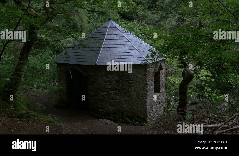 Construction forest Stock Videos & Footage - HD and 4K Video Clips - Alamy