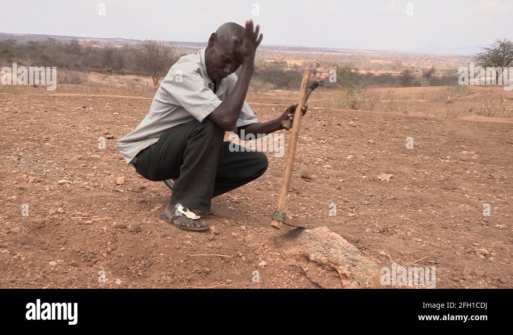 Africa farm hoe Stock Videos & Footage - HD and 4K Video Clips - Alamy