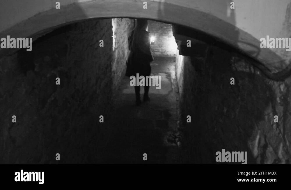 Horror cellar Stock Videos & Footage - HD and 4K Video Clips - Alamy