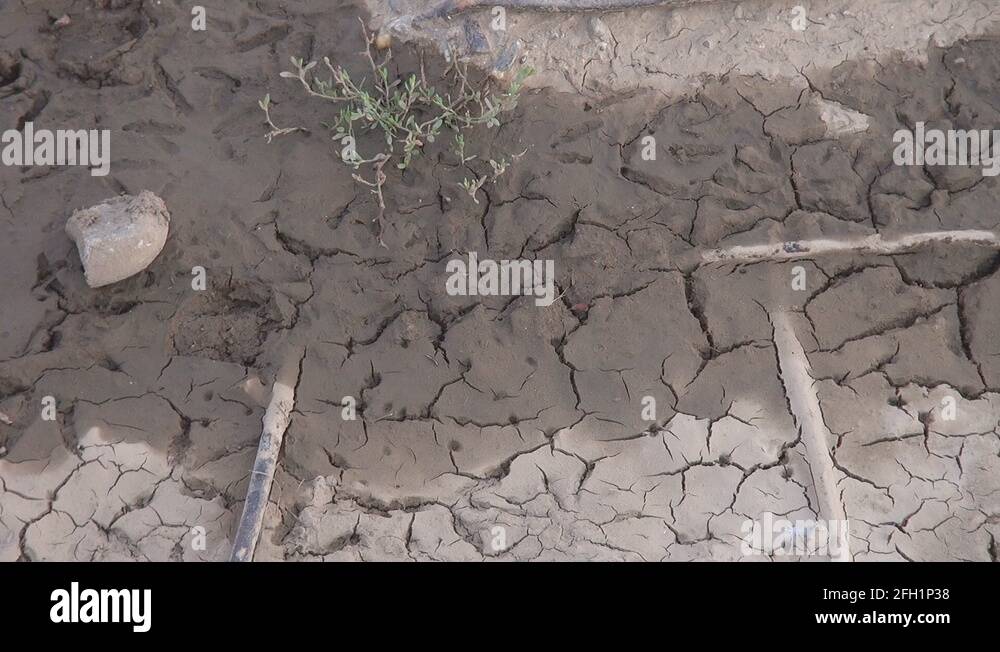 Cracked soil pattern Stock Videos & Footage - HD and 4K Video Clips - Alamy