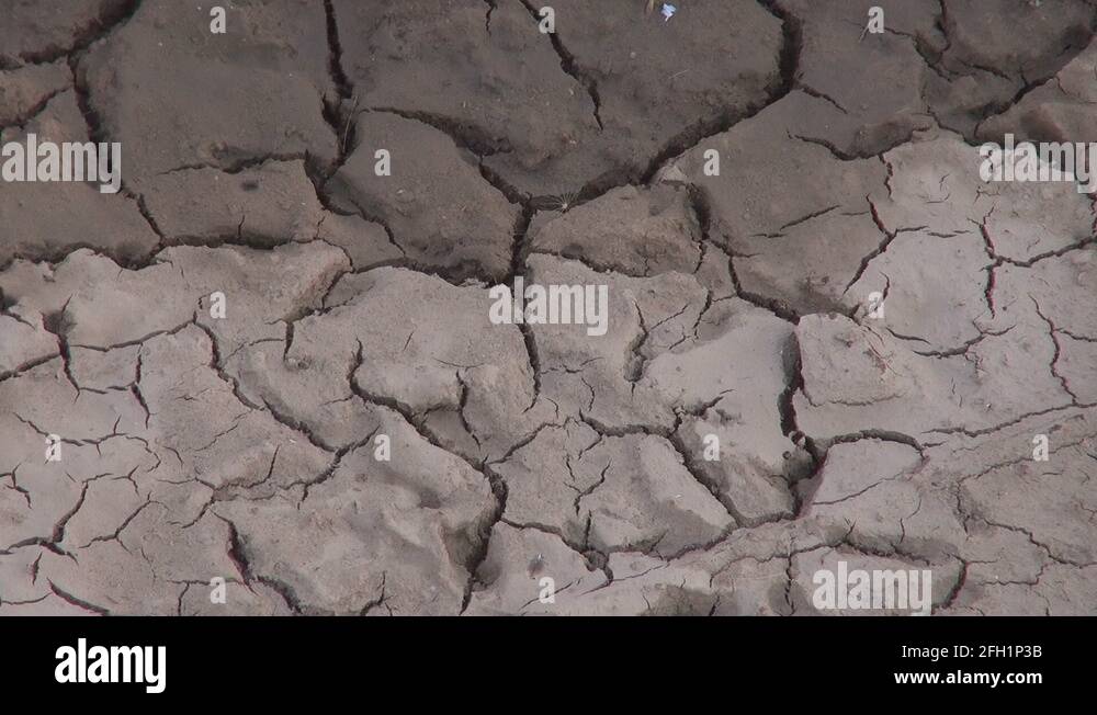 Soil nature drought Stock Videos & Footage - HD and 4K Video Clips - Alamy