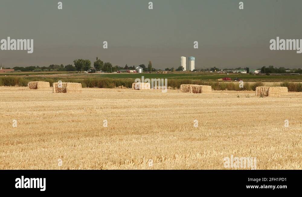Hay field and farm Stock Videos & Footage - HD and 4K Video Clips - Alamy