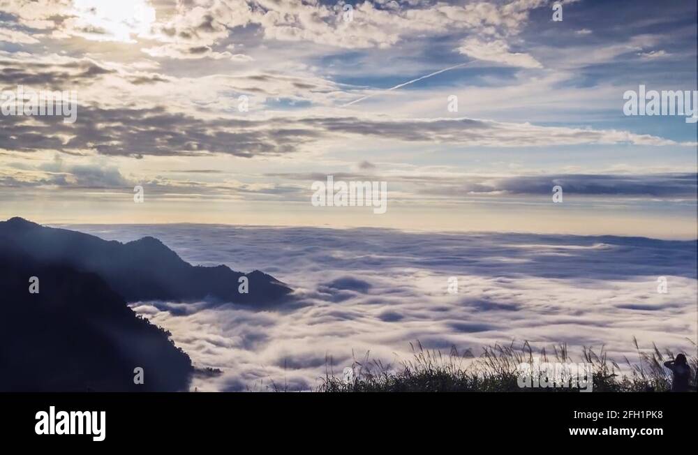 Alishan national park Stock Videos & Footage - HD and 4K Video Clips ...