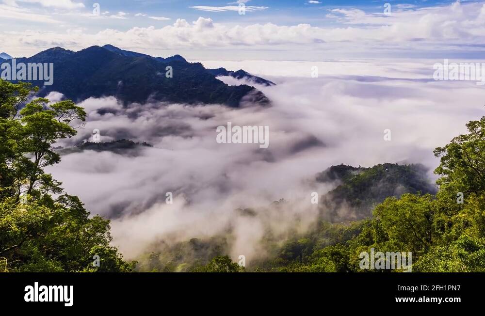 Sunset Alishan mountains, Alishan National Park, Taiwan Stock Video ...