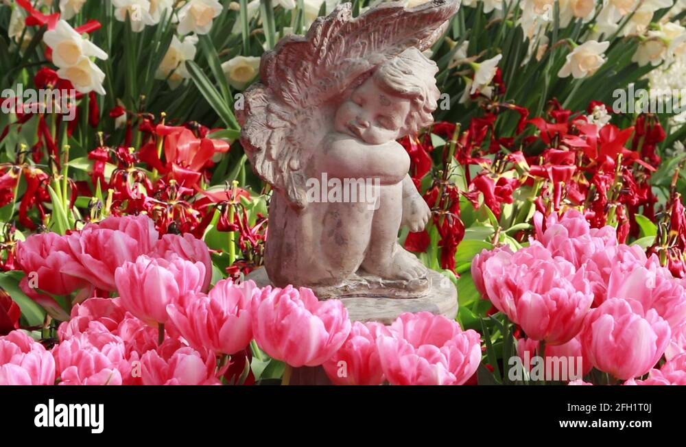 Angel statue flowers Stock Videos & Footage - HD and 4K Video Clips - Alamy
