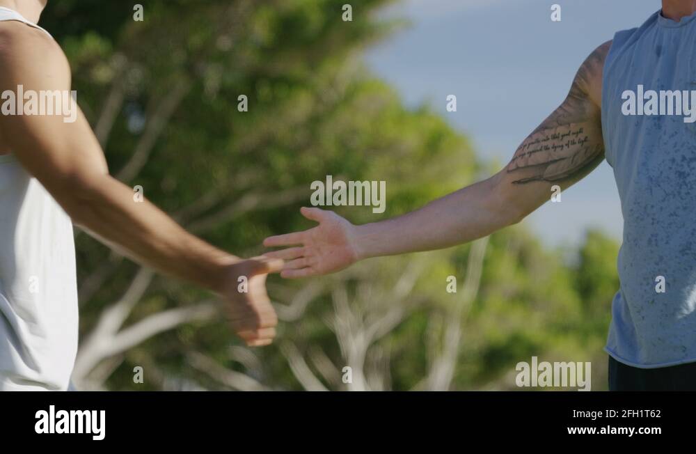 Men high five fitness Stock Videos & Footage - HD and 4K Video Clips ...