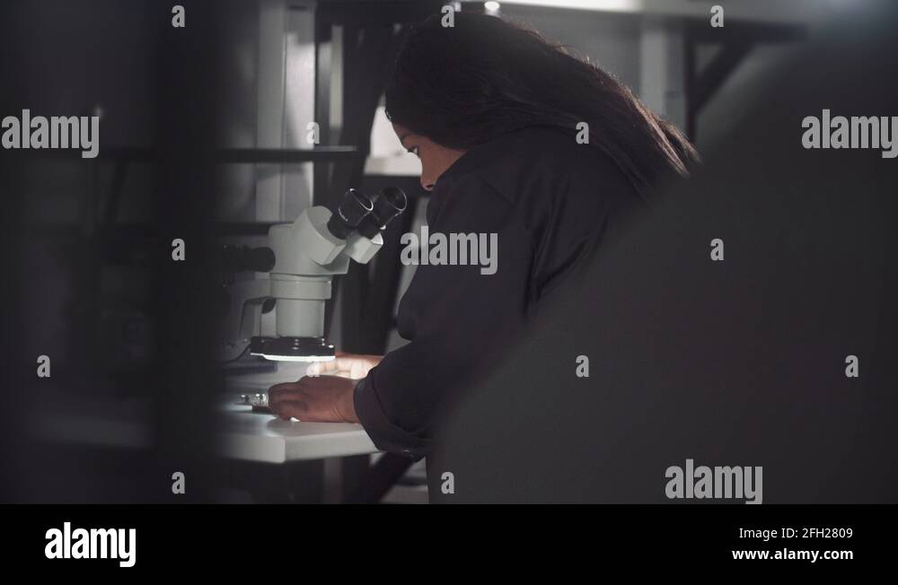 Female scientist looks through microscope Stock Videos & Footage - HD ...