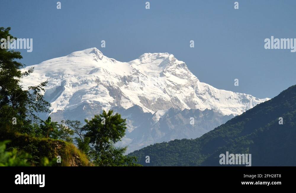 Nepal trees himalaya Stock Videos & Footage - HD and 4K Video Clips - Alamy