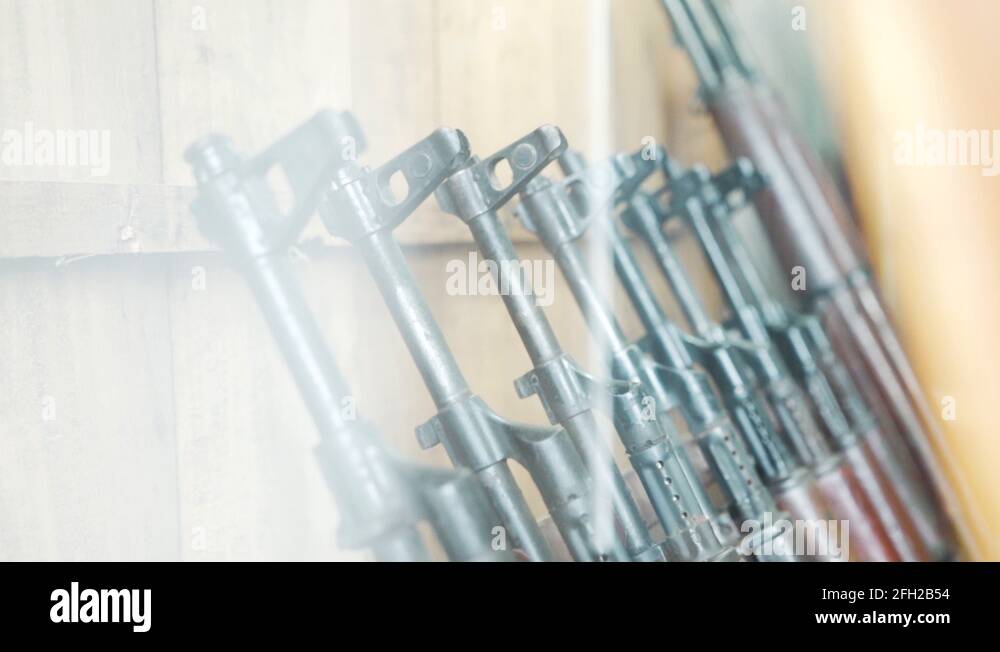 Display case featuring M16 american rifles from Vietnam War Jungle ...