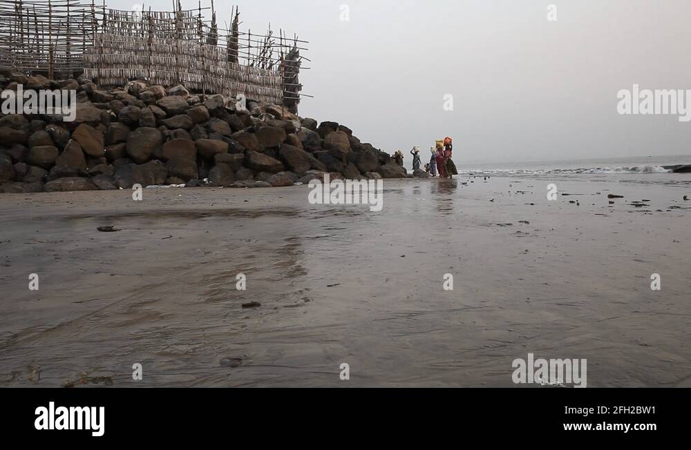 Women transporting sand on a beach in Bombay, India Stock Video Footage ...