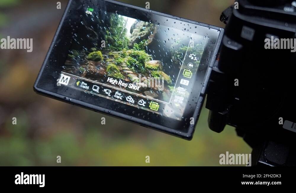 Capture nature Stock Videos & Footage - HD and 4K Video Clips - Alamy