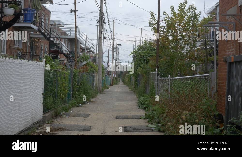 An urban alley with overgrown weeds and overhead wires Stock Video ...