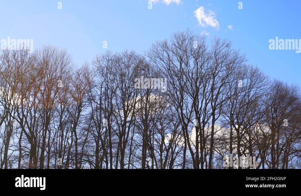 No seasons Stock Videos & Footage - HD and 4K Video Clips - Alamy