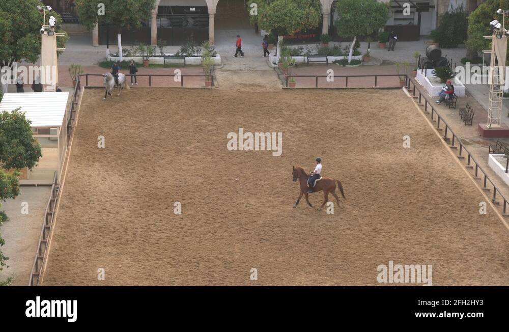 Royal horse riding stables Stock Videos & Footage - HD and 4K Video ...