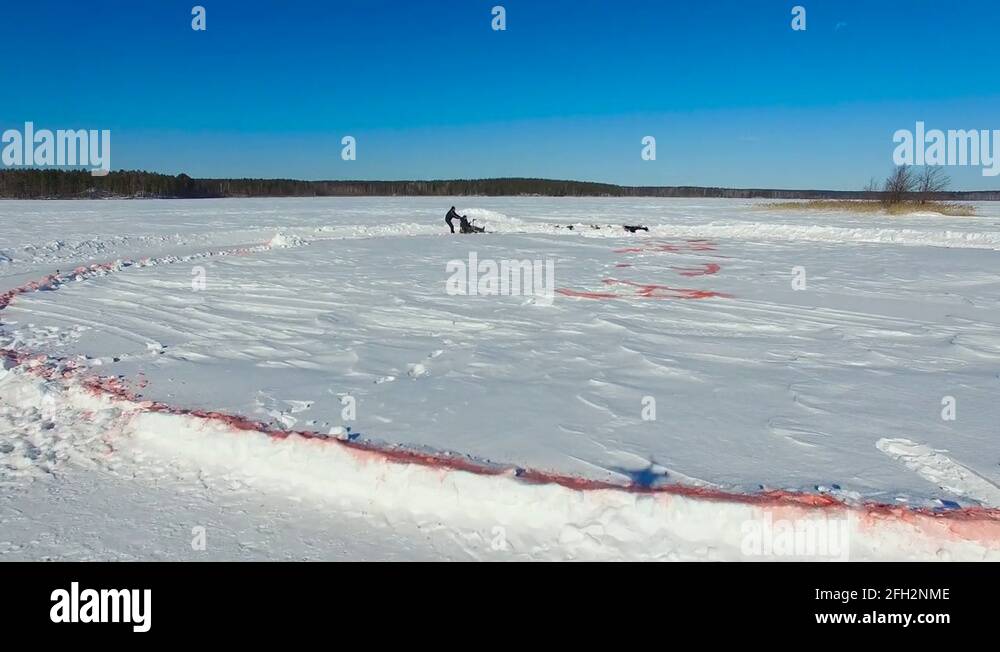 Snow white birds cartoon Stock Videos & Footage - HD and 4K Video Clips ...