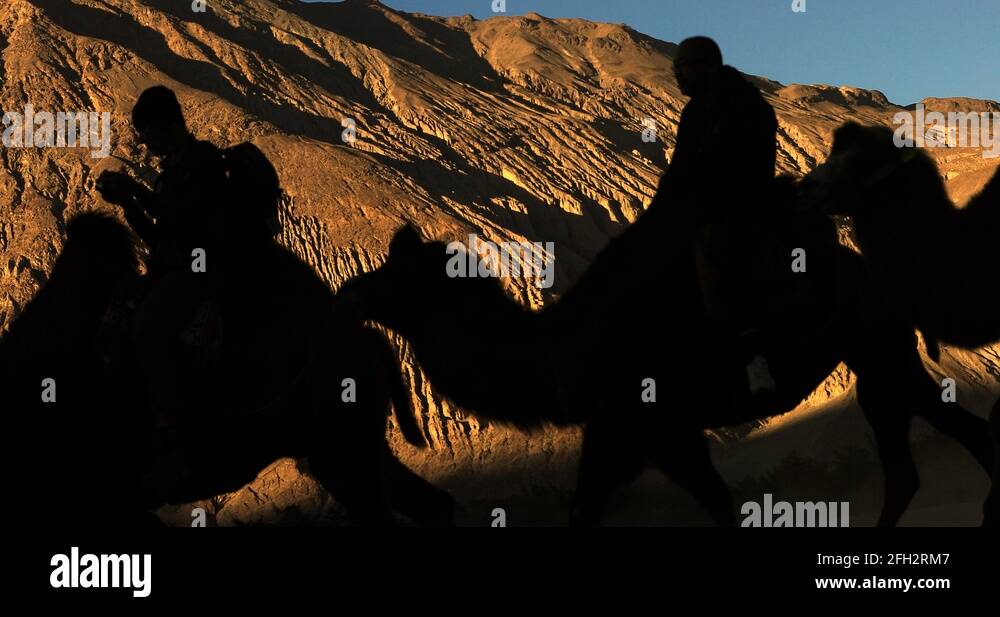 Himalayan safari animals Stock Videos & Footage - HD and 4K Video Clips ...