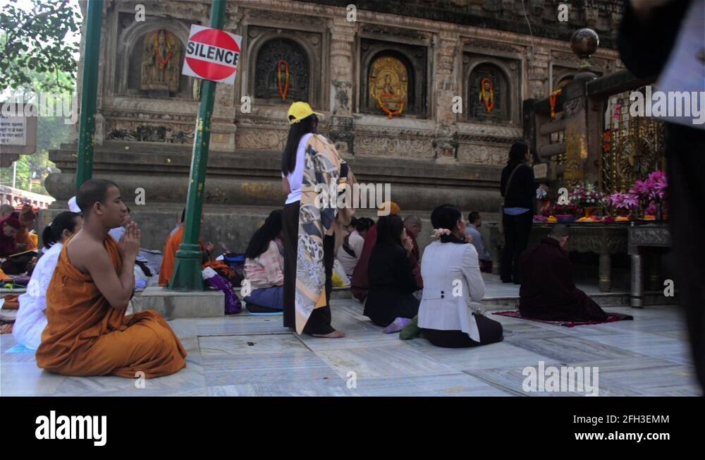 Bodhi tree bodh gaya Stock Videos & Footage - HD and 4K Video Clips - Alamy