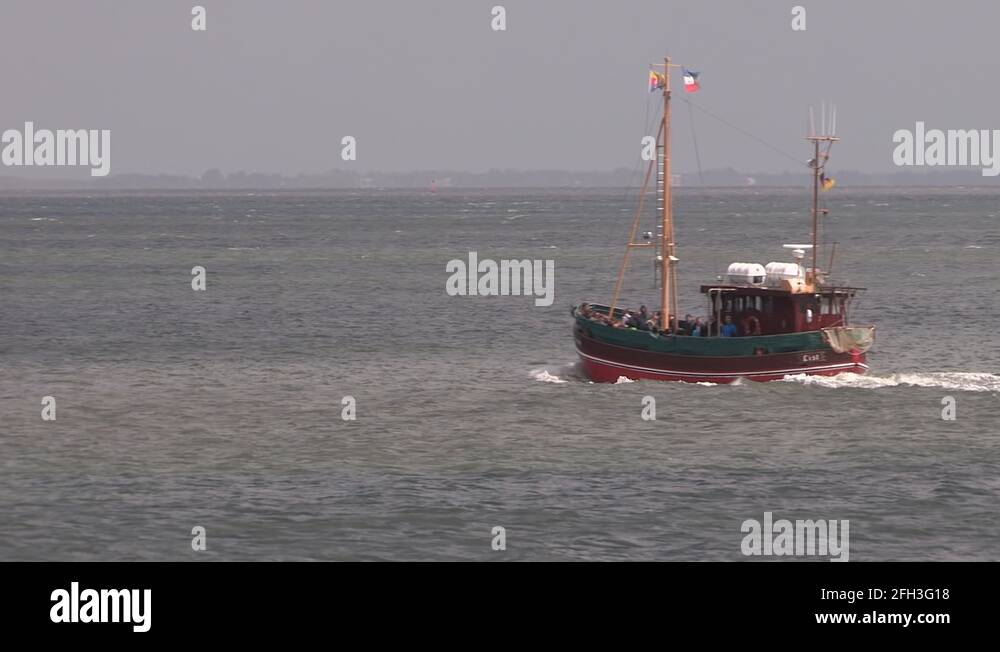 Kutter cutter Stock Videos & Footage - HD and 4K Video Clips - Alamy