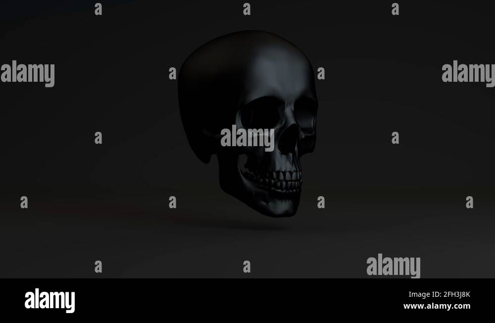 Skull morphology Stock Videos & Footage - HD and 4K Video Clips - Alamy