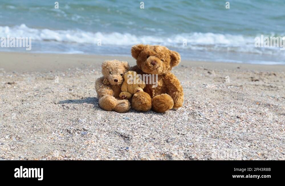 3 teddy bears Stock Videos & Footage - HD and 4K Video Clips - Alamy