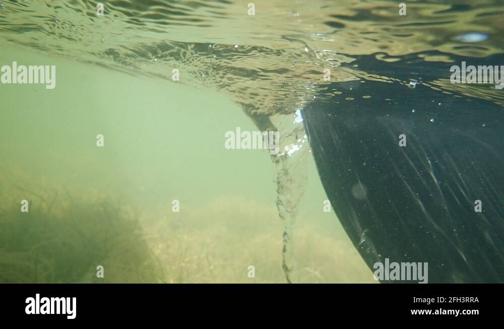 Kayak underwater Stock Videos & Footage - HD and 4K Video Clips - Alamy