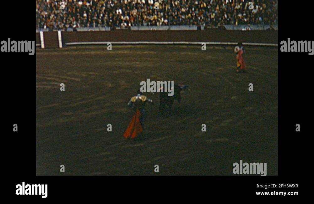 Death of bull Stock Videos & Footage - HD and 4K Video Clips - Alamy