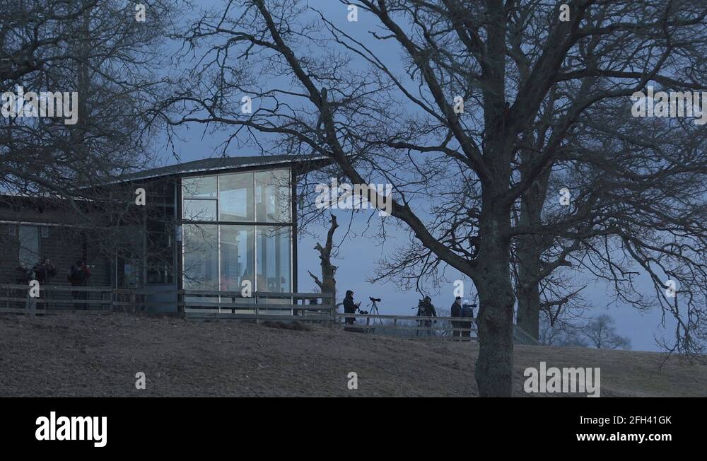 Reflection of house window Stock Videos & Footage - HD and 4K Video ...