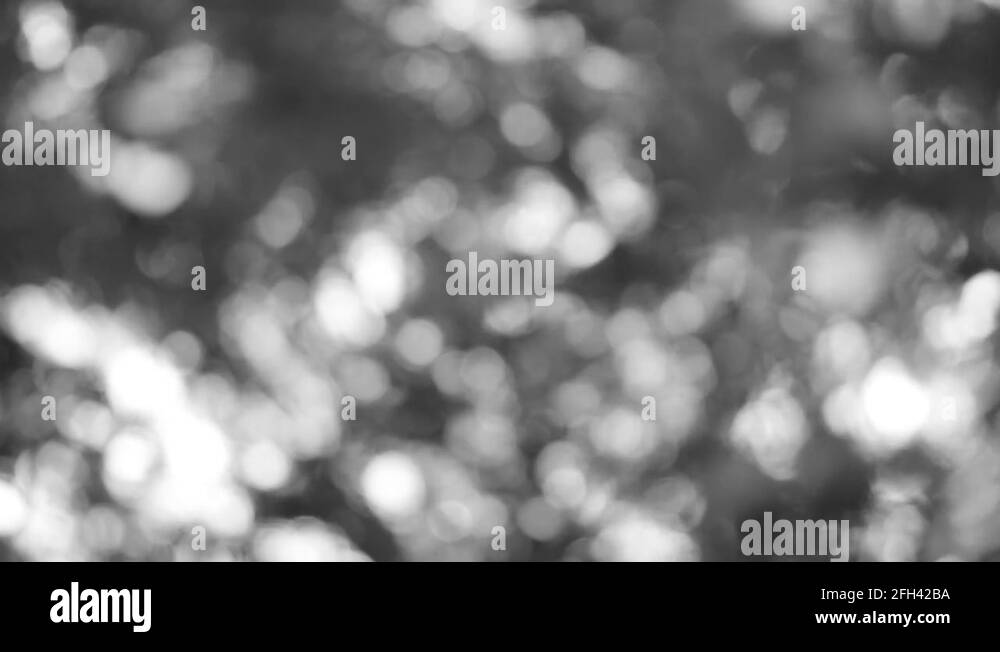 Black white nature pattern Stock Videos & Footage - HD and 4K Video ...