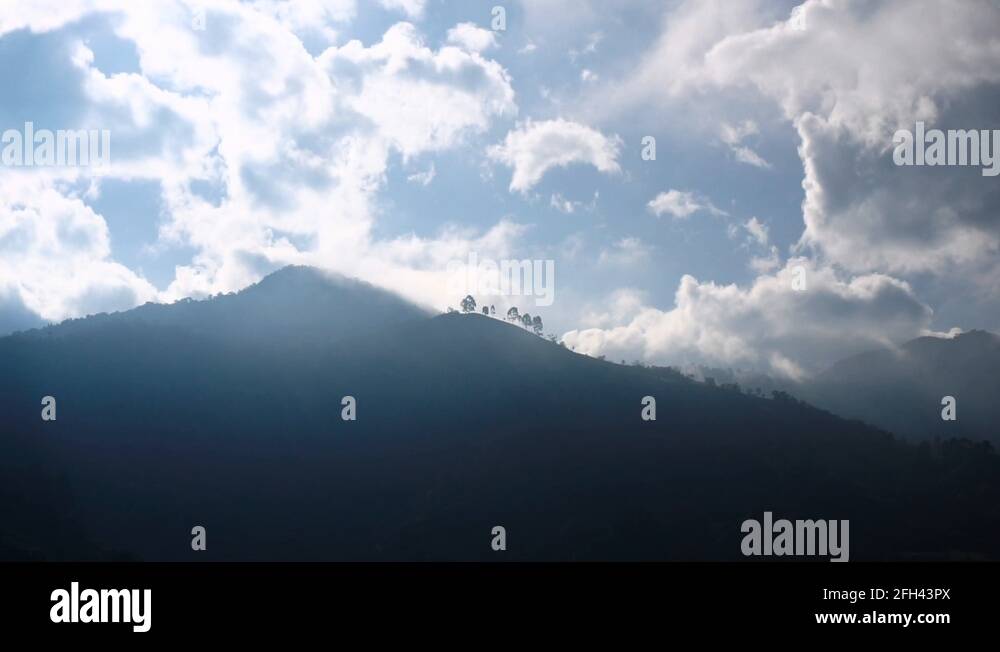 Unique white beautiful trees mountain Stock Videos & Footage - HD and ...