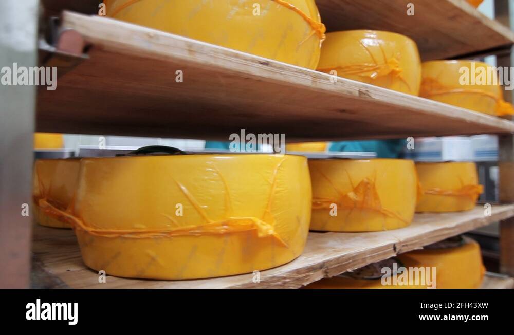 Packaged cheese wheels on shelves in factory warehouse. Cheese ...