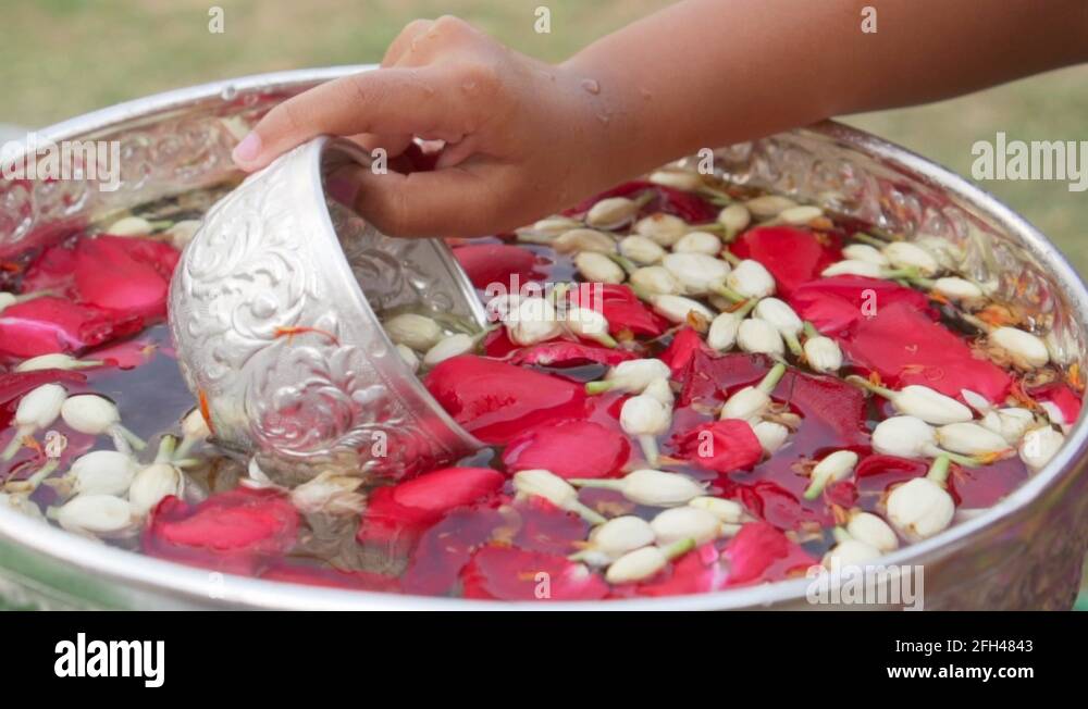 Little girl dip Stock Videos & Footage - HD and 4K Video Clips - Alamy